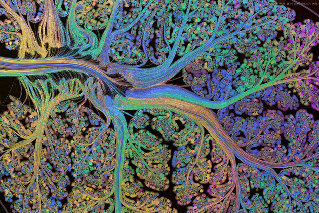 How can we model neural plasticity? | computational biology blog